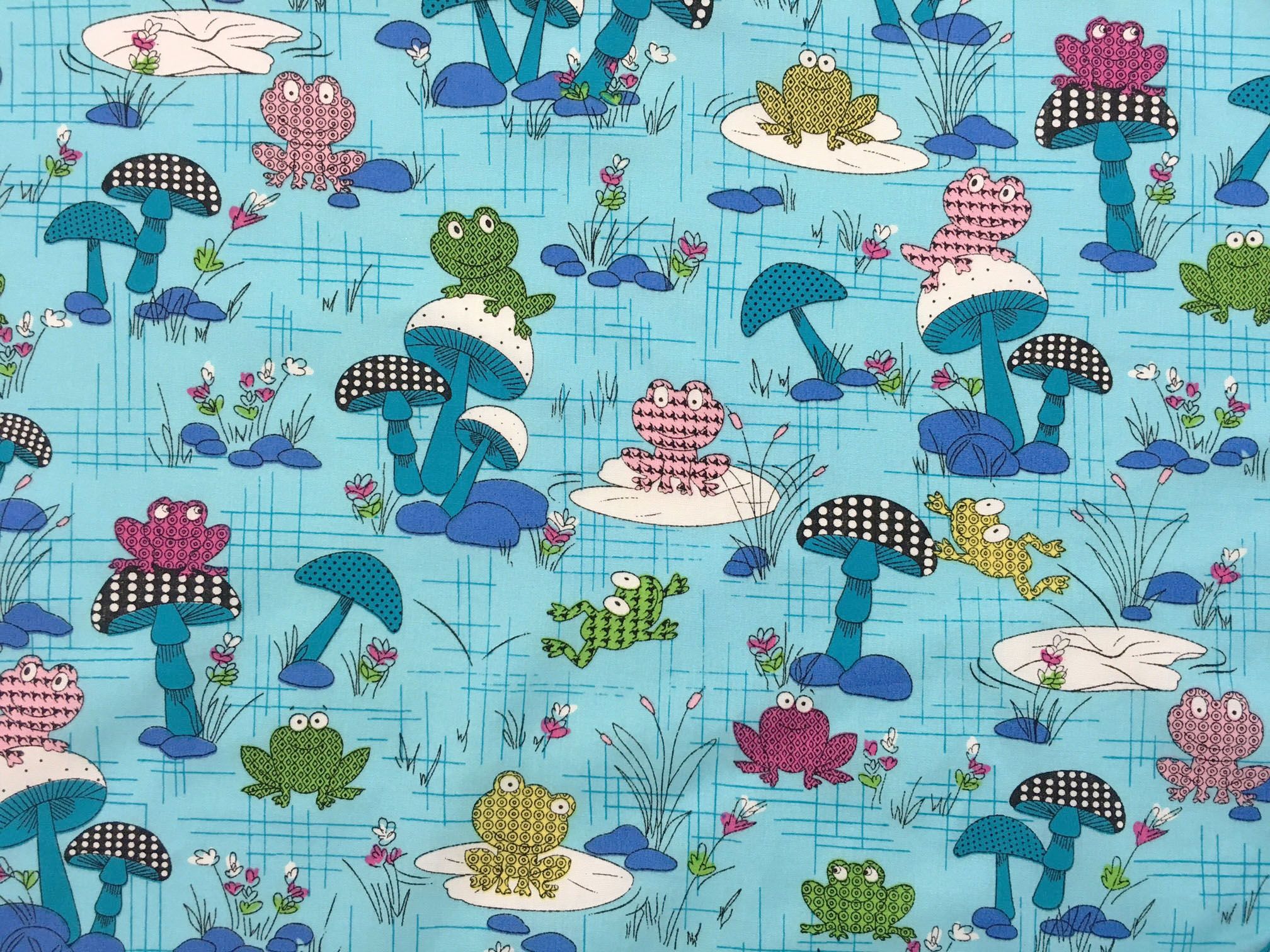 Fabric Fancy Frogs - SHP - Modern Cloth Nappies