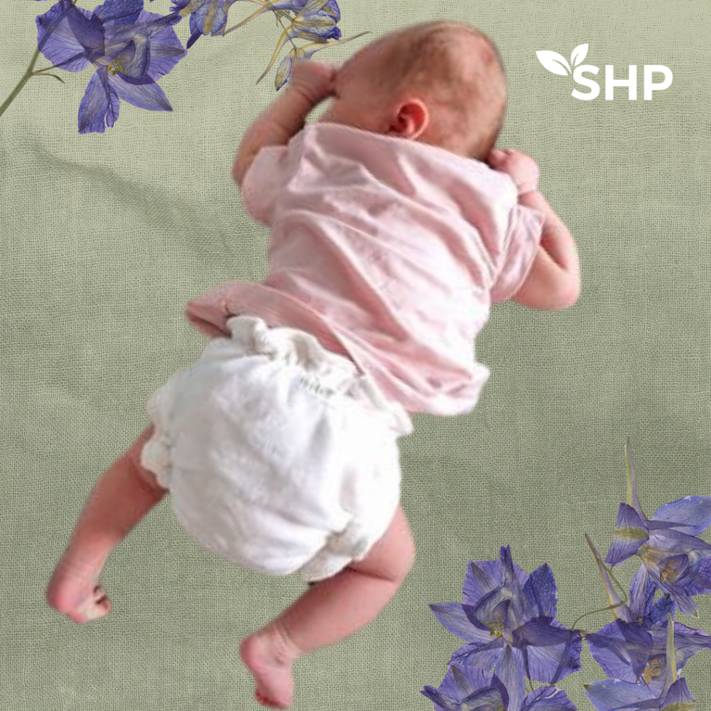 A Must Have - Our Bamboo Velour Fitted "Lushies" - SHP - Modern Cloth ...
